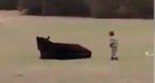 Judging By This Video, This Lil' Boy is Destined to Be a Bull Rider