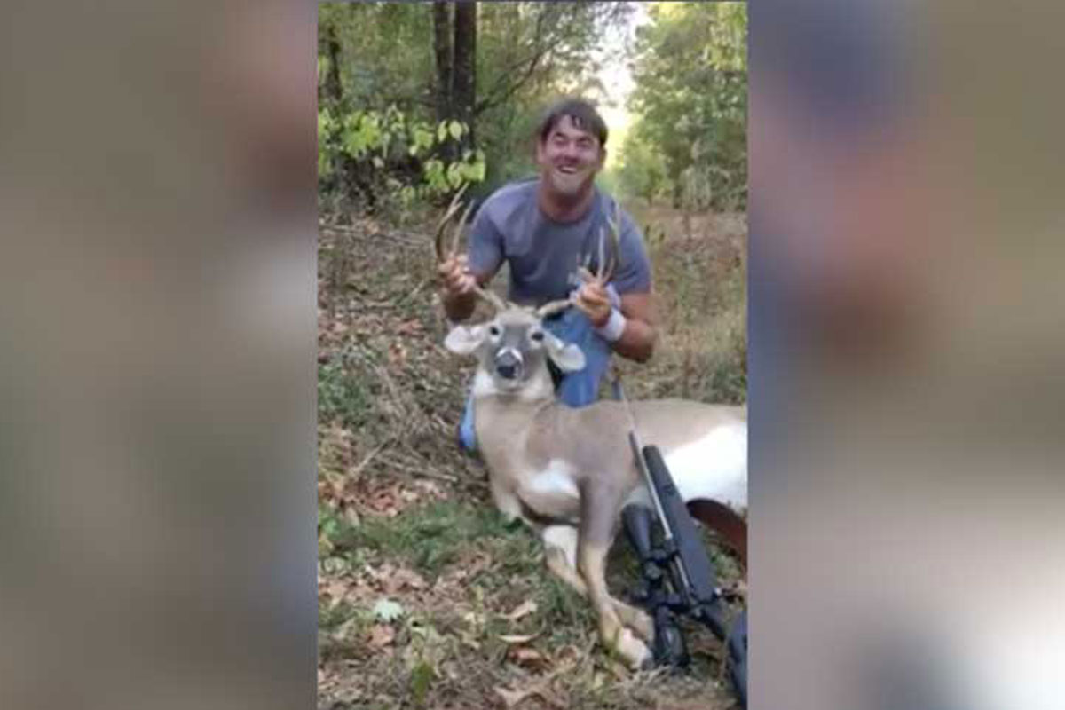 Deer Jumps So High His Antlers Scrape the Tree Branches - Wide Open Spaces