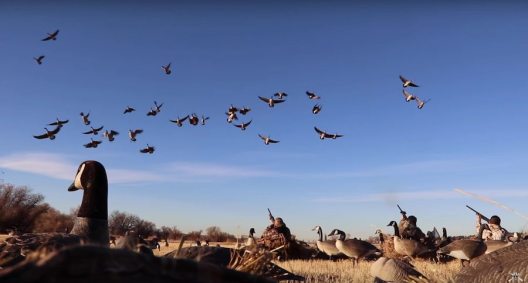 Epic Goose Hunt Shows Just How Fun It Can Be - Wide Open Spaces