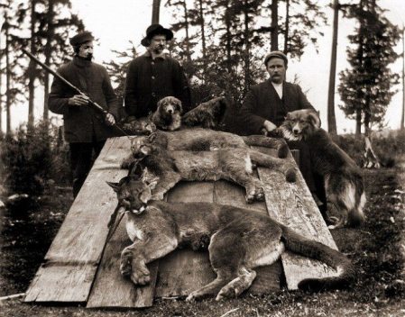 13 Vintage Hunting Photos That Capture the Good Old Days