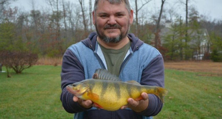 Tennessee State Perch Record About to be Verified