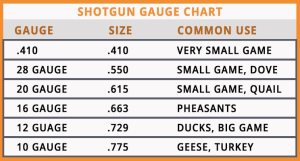 Guide to Shotgun Gauge Size