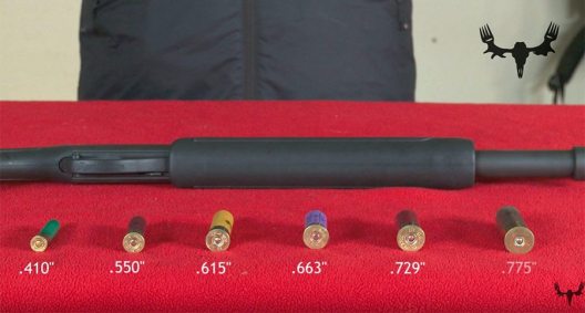 Guide to Shotgun Gauge Size