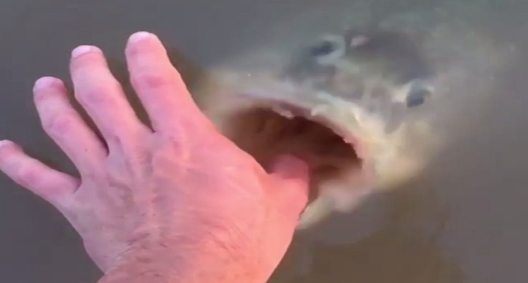 Introducing the Best Bass Bait Ever: Your Thumb