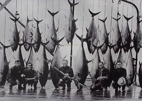 10 Vintage Saltwater Fishing Photos That Are Instant Classics
