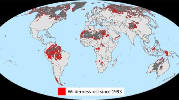 The World's Wilderness Has Been Reduced by 10% Since the '90s