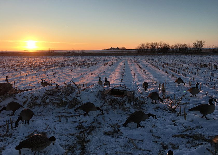 11 Great Ways to Make Hunting Fun for Your Kids - Wide Open Spaces