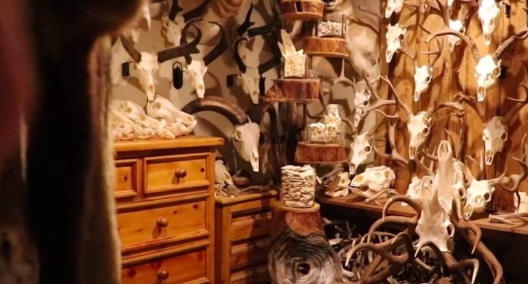 This Log Display Rack is the Perfect Winter Project