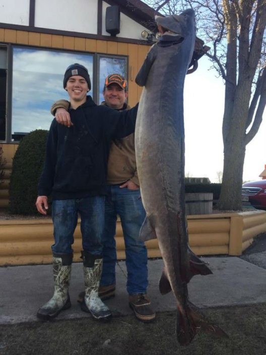 Wisconsin 2017 Sturgeon Spearing is in the Books - Wide Open Spaces