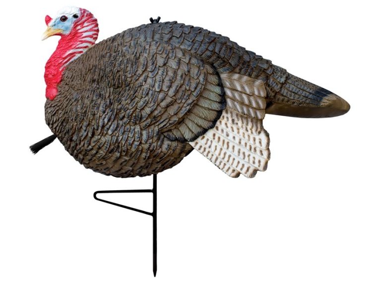 Lure Your Tom with This Gobbstopper Turkey Decoy Combo, on Sale Right ...