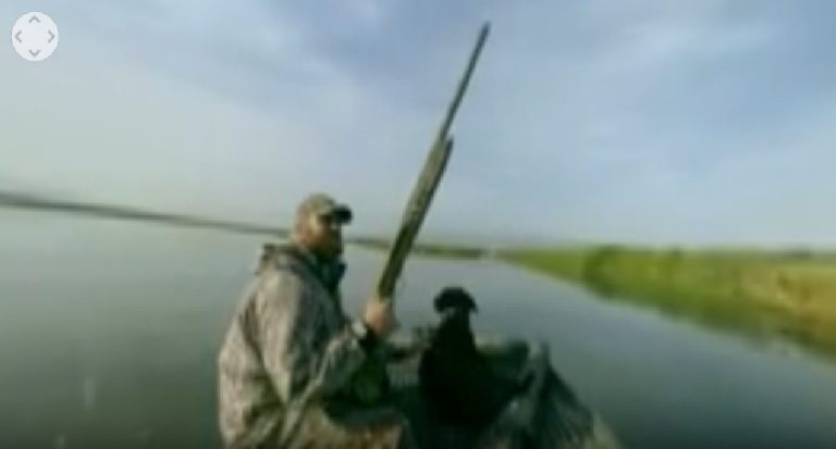 Missing Duck Hunting? Take a Ride and Seat in the Browning Virtual Duck ...