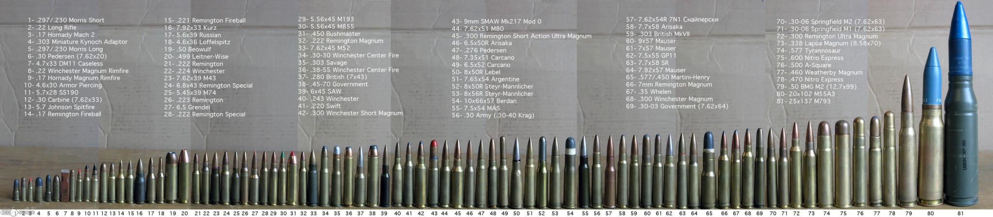 5 Pictures That Will Help You Explain The Difference Between Bullet ...