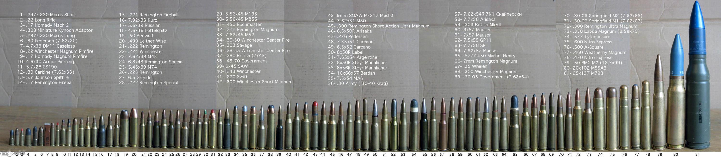5 Pictures That Will Help You Explain The Difference Between Bullet ...