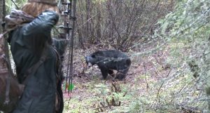 Tim Wells' Daughter Makes Dad Proud in Standoff with Mature Bear - Wide ...