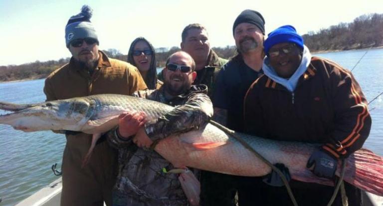 Near State Record Alligator Gar Caught in Oklahoma - Wide Open Spaces