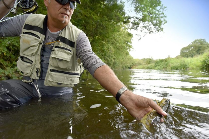 Opening Day of Trout Season Means More Than Just a Full Stringer - Wide ...