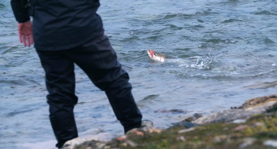 ‘Lords of the North’ Highlights Arctic Char Fishing in Canadian Central ...