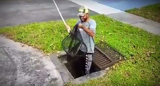 You Will Not Believe the Monster Fish This Guy Catches in a Sewer ...