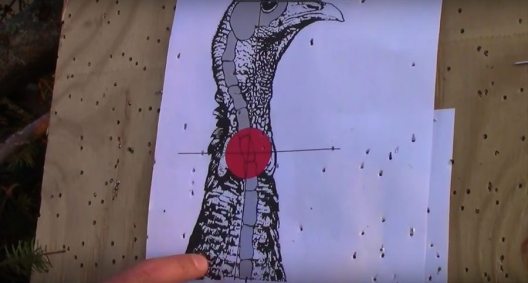 Tips to Effectively Pattern Shotgun for Turkey Hunting
