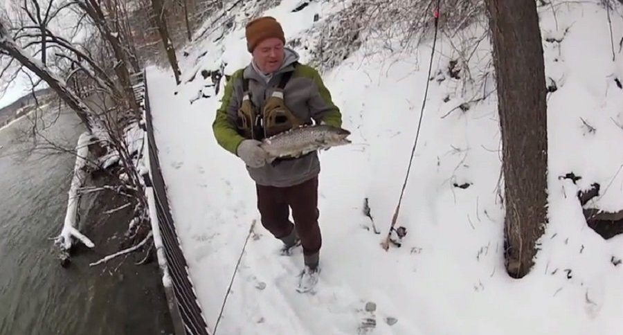 Steelhead Runs in New York: 10 Fisheries Guaranteed to Produce