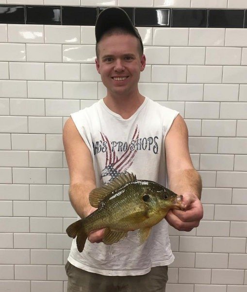 New State Record Sunfish Caught in Missouri on a Throwline - Wide Open ...