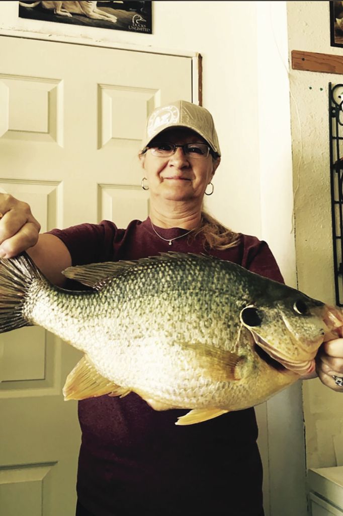 Monster Arizona Bluegill May Have Been Colorado River Record - Wide ...