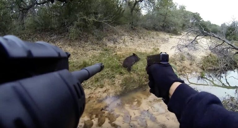 Hunter Tries Out a .50 Cal on a Feral Hog - Wide Open Spaces