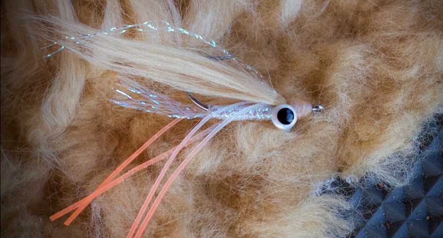 The 8 Best Bonefish Flies for Your Next Trip and How to Tie Them - Wide ...