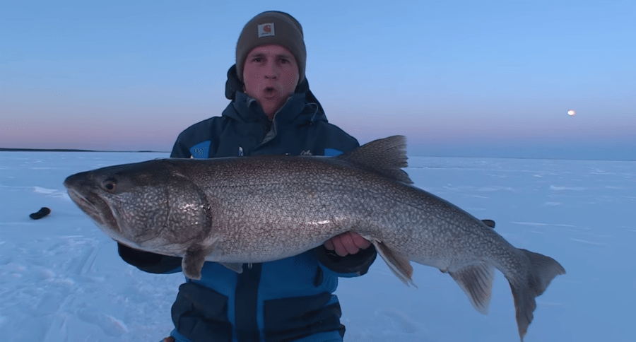 4 Massive Lake Trout Through the Ice in 24 Hours - Wide Open Spaces