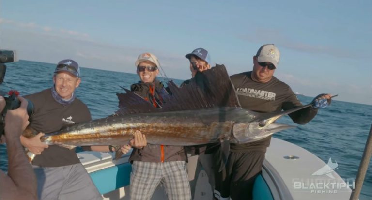 BlacktipH Catches His Biggest Sailfish Ever While Fishing for Barracuda ...