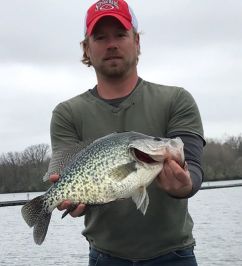 Gigantic 4 lbs 8.8 oz State Illinois Record Crappie Confirmed a Hybrid ...