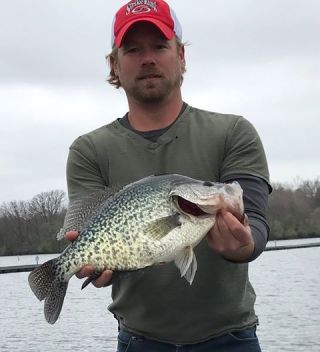 Gigantic 4 lbs 8.8 oz State Illinois Record Crappie Confirmed a Hybrid ...