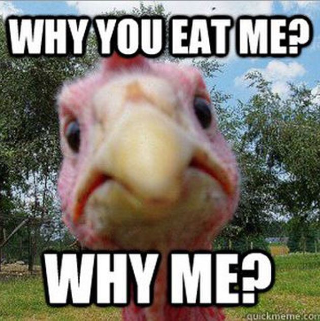 11 Turkey Memes That Will Get You Ready to Blast Those Birds - Wide ...