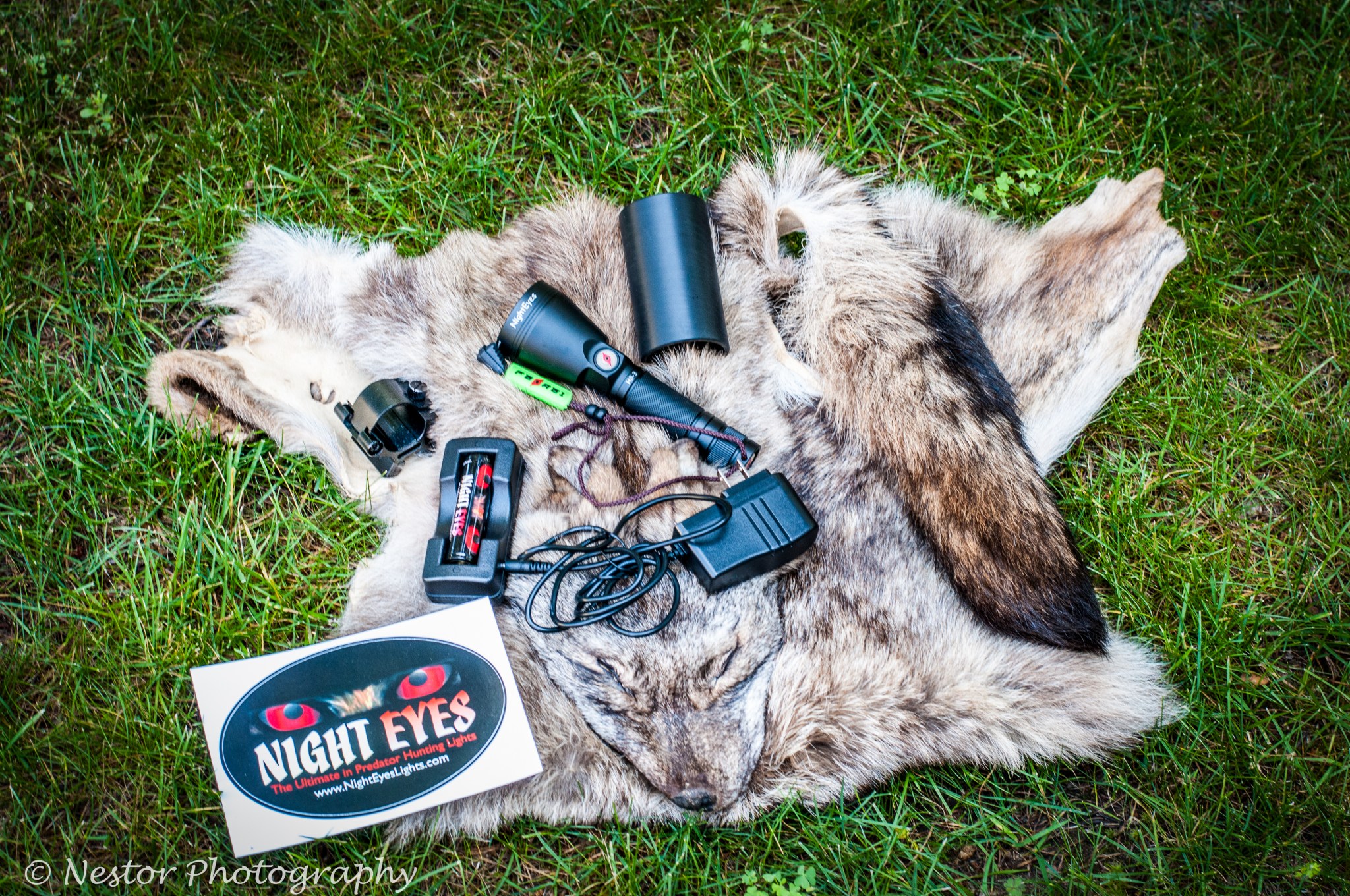 Spot More Predators at Night With the Night Eyes Scan Light - Wide Open ...