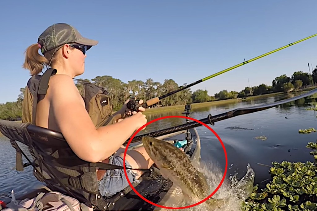 Bass Leaps From Water, Hitting Unsuspecting Kayak Angler - Wide Open Spaces