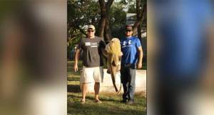 Texans Catch Near Record Catfish on a Hot Dog - Wide Open Spaces