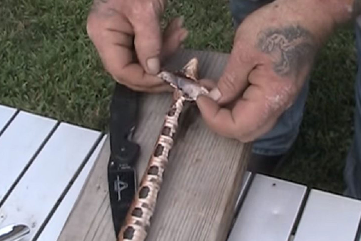 Learn the Right Way to Skin, Gut and Cook a Copperhead Snake - Wide ...