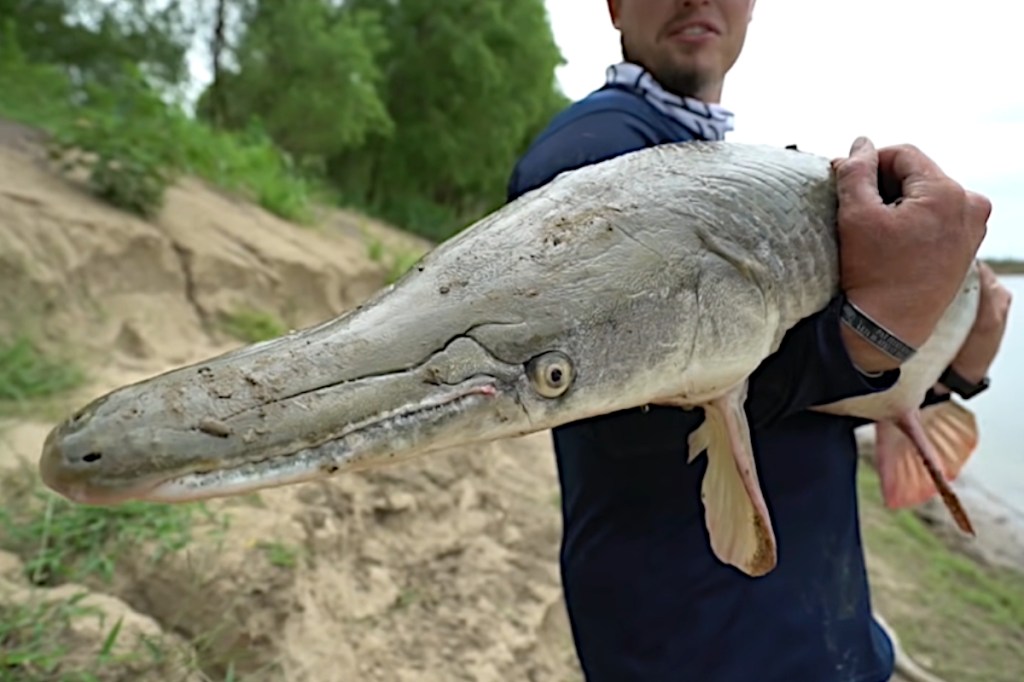 Mississippi Fisherman Surprised with World Record Longnose Gar