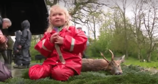 Kindergarten Class Field Trip Goes Deer Hunting - Wide Open Spaces
