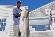 New Line Class World Record Striped Bass Caught in New York - Wide Open ...