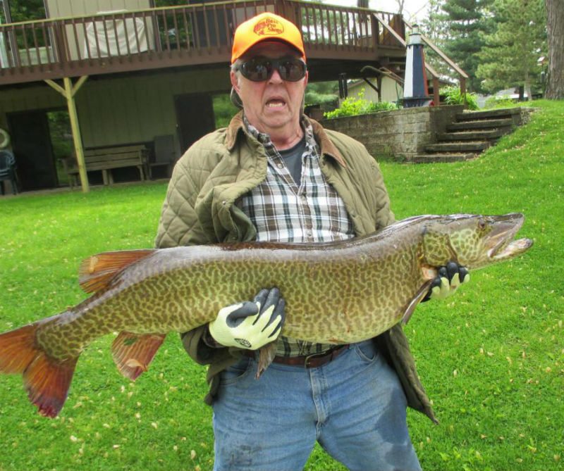 Record Tiger Musky Keeps the Ball Rolling for New Illinois Record Fish ...