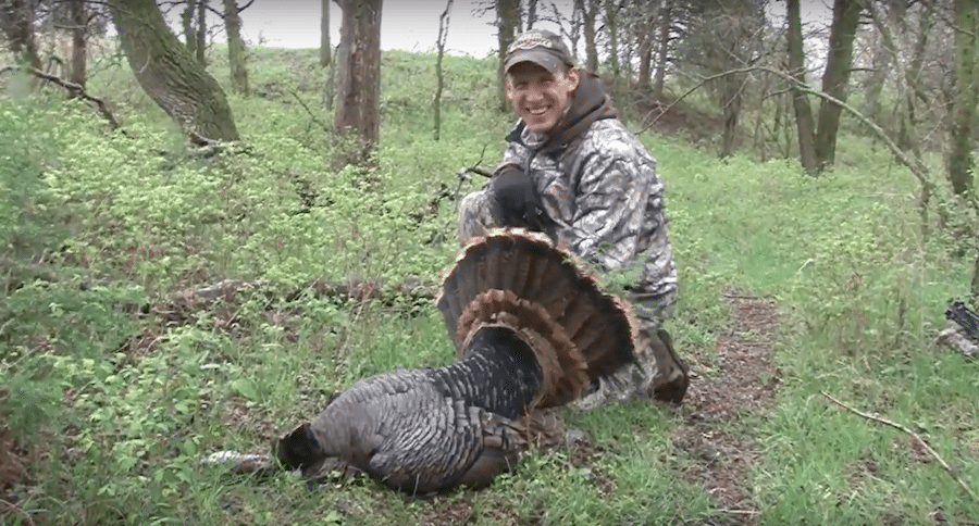 Taking a Beautiful Spring Turkey From a Blind - Wide Open Spaces