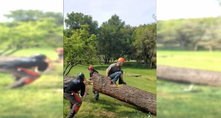 Lumberjacks Execute the Uprooted Tree Catapult - Wide Open Spaces