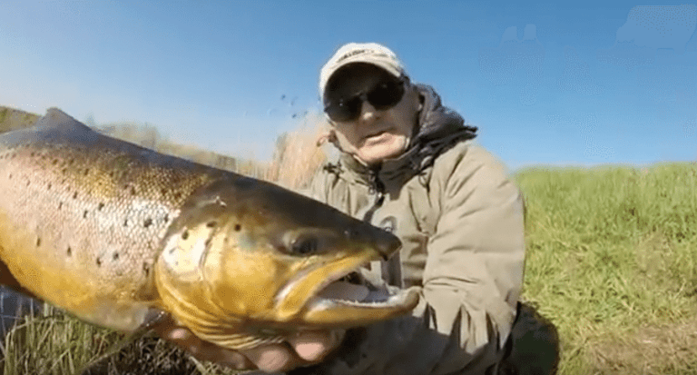 Now That is a Trophy Brown Trout - Wide Open Spaces