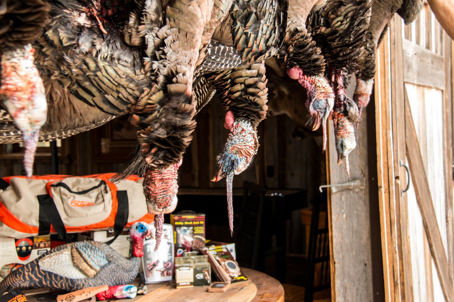 Kansas Turkey at Hooray Ranch: The Story of My First Professional Media ...