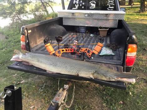 For the First Time Ever, an Indiana Alligator Gar Has Been Caught ...