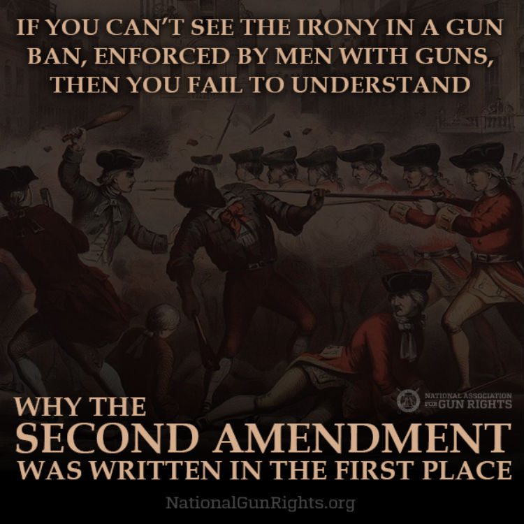 10 Second Amendment Memes Only True Patriots Understand - Wide Open Spaces
