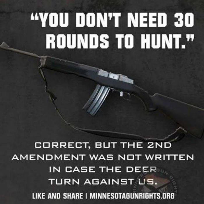 10 Second Amendment Memes Only True Patriots Understand - Wide Open Spaces