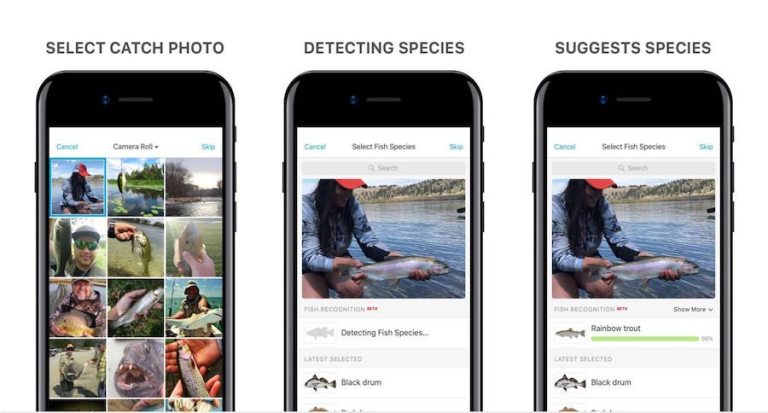 Exclusive: Fishbrain to Become World’s First Fish Species Recognition ...