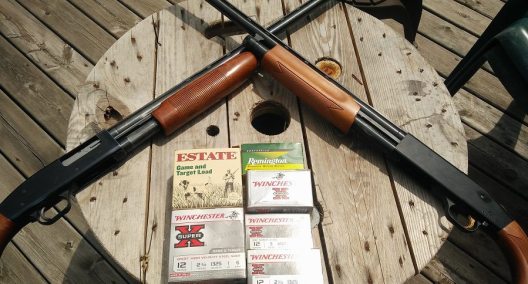 FULL REVIEW: CleanShot, the Load That Cleans Your Gun While You Shoot ...